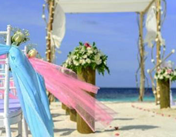 Special Occasion Photography – Backdropsource