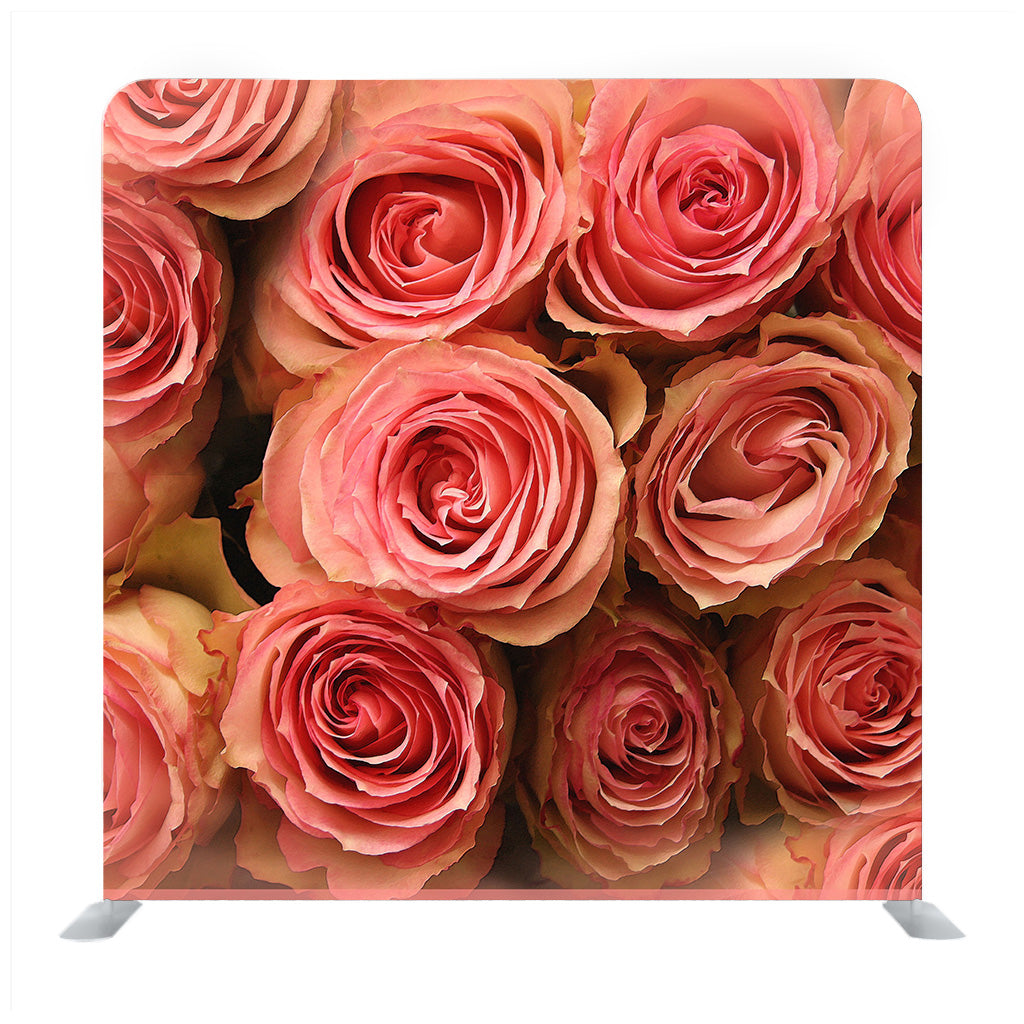 Beautiful Pink Roses Straight Tension Fabric Backdrop – Backdropsource