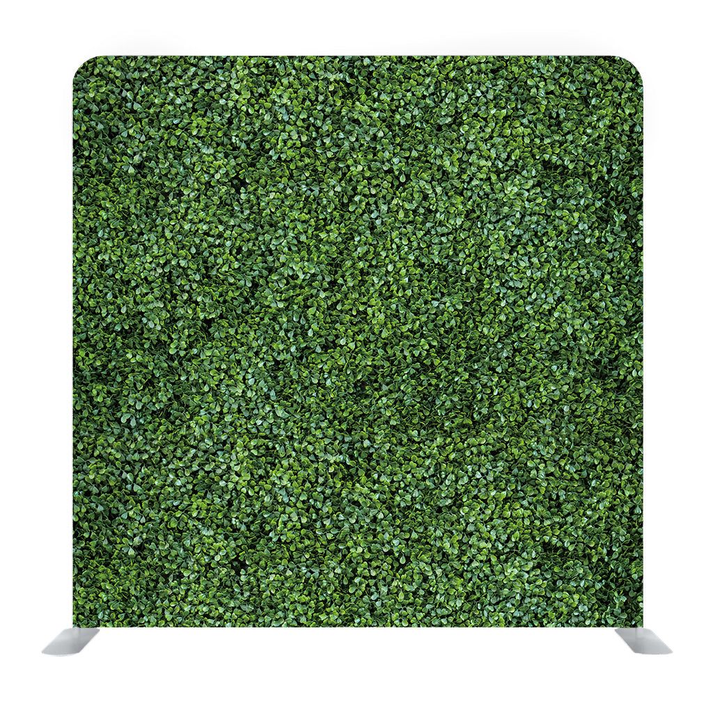 Printed Backdrops | Greeny Wall Decoration Media wall – Backdropsource