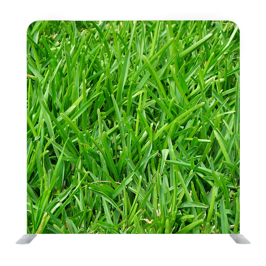 Natural Green Grass Straight Tension Backdrop – Backdropsource