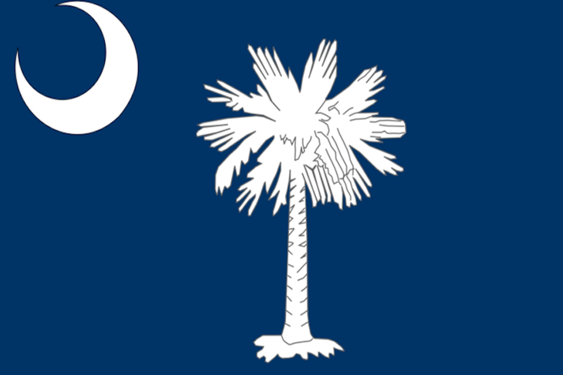 South Carolina State Flag – Backdropsource